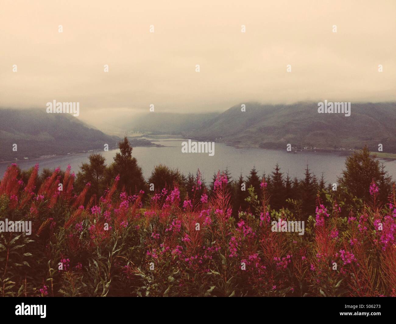 View from Mam Ratagan across Loch Duich in Scottish Highlands Stock ...
