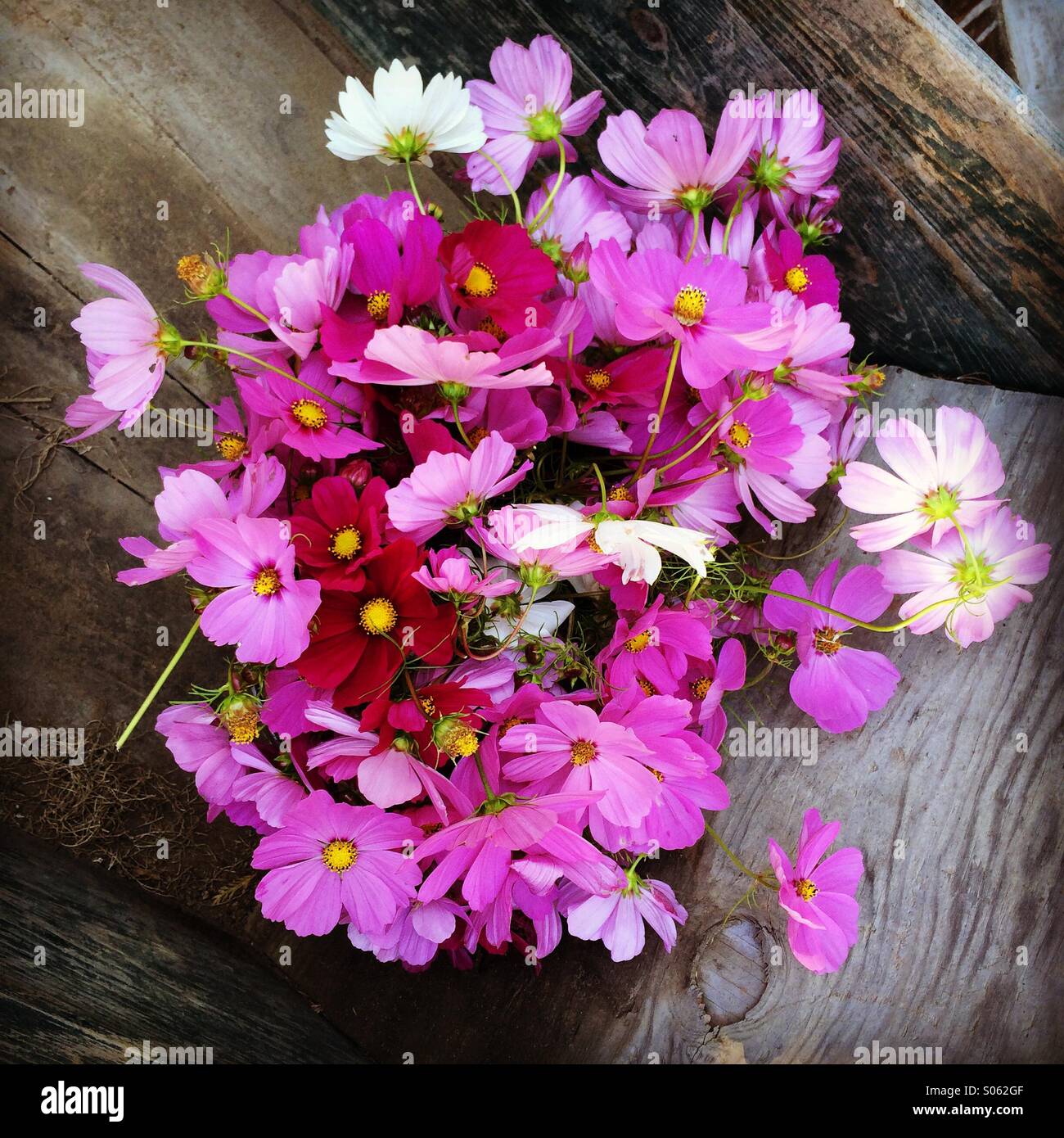 Farmers market bouquet hi-res stock photography and images - Alamy
