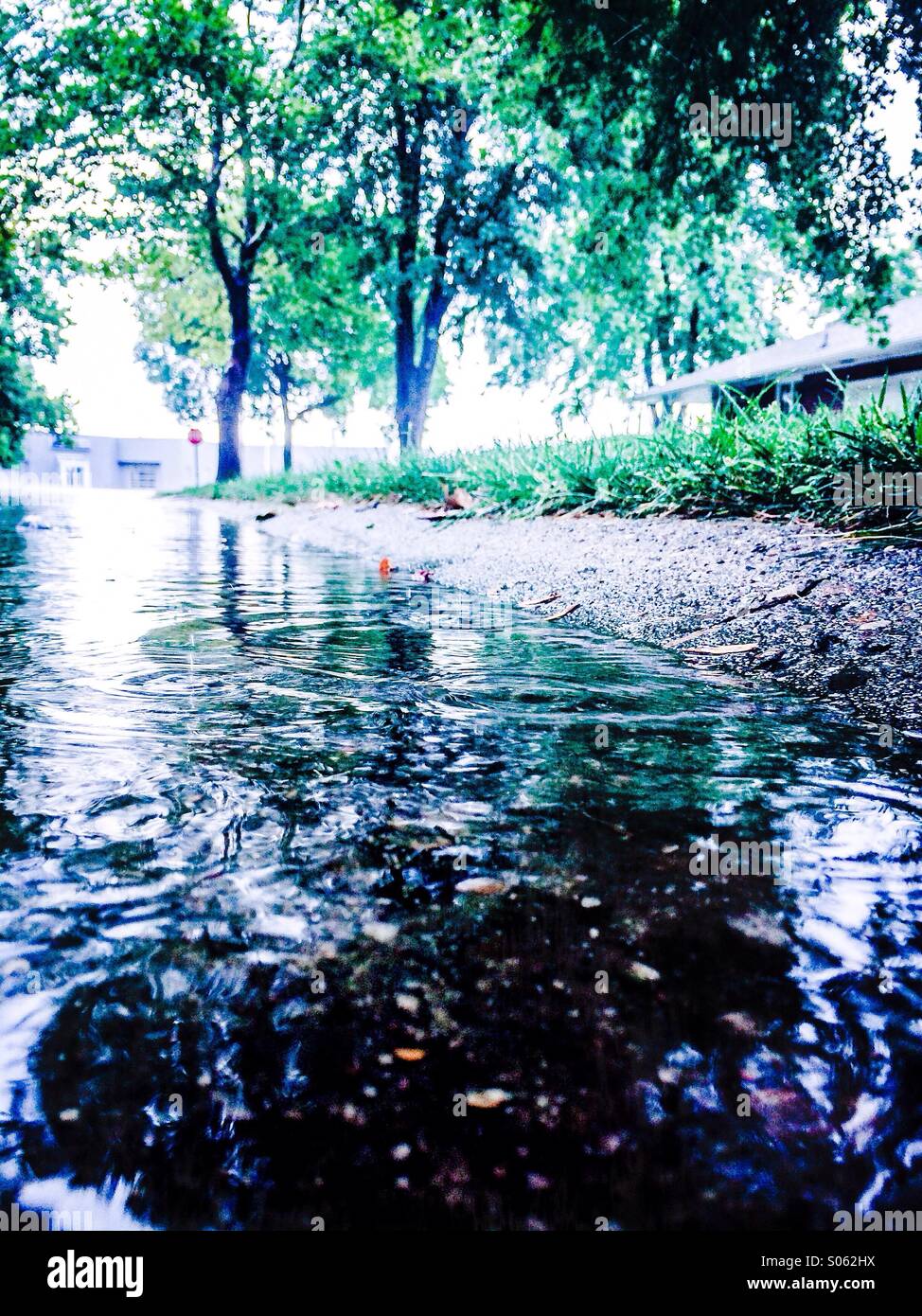 Rainy Day Stop Sign High Resolution Stock Photography and Images - Alamy