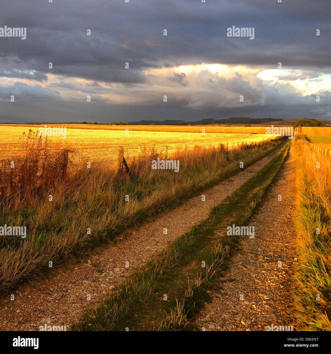 Countryside farm track, Near Amesbury, Wiltshire, England. Dusk. Late ...