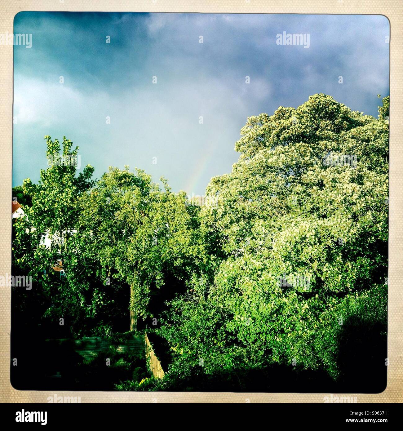 Rainbow behind trees hi-res stock photography and images - Alamy