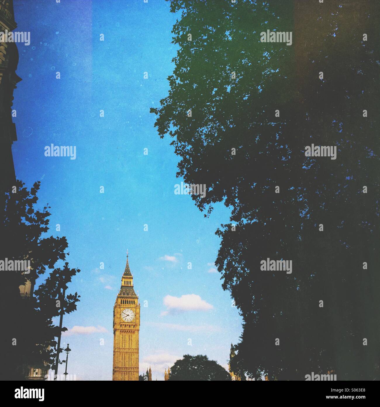 Big ben trees hi-res stock photography and images - Alamy