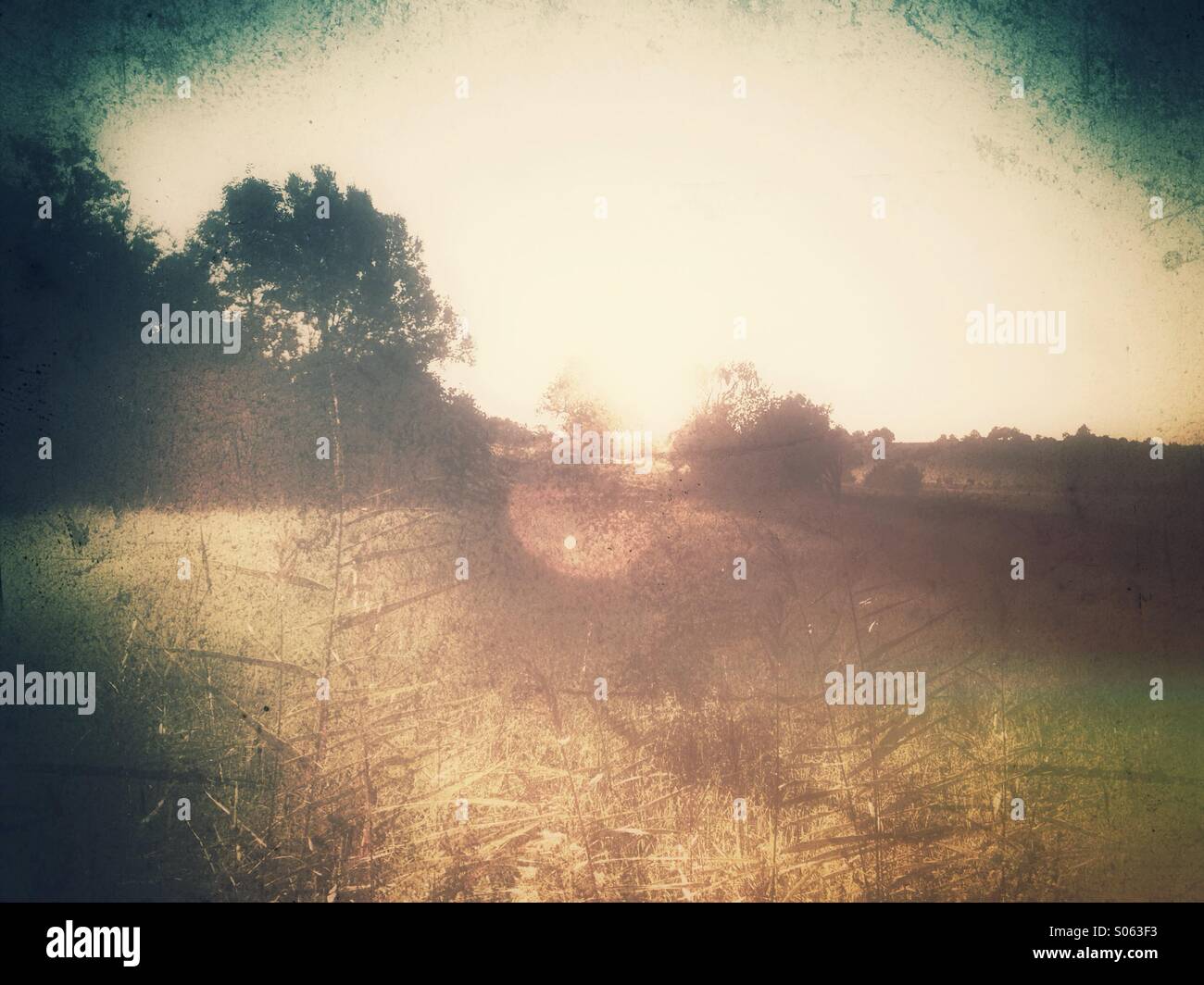 Morning sun landscape hi-res stock photography and images - Alamy