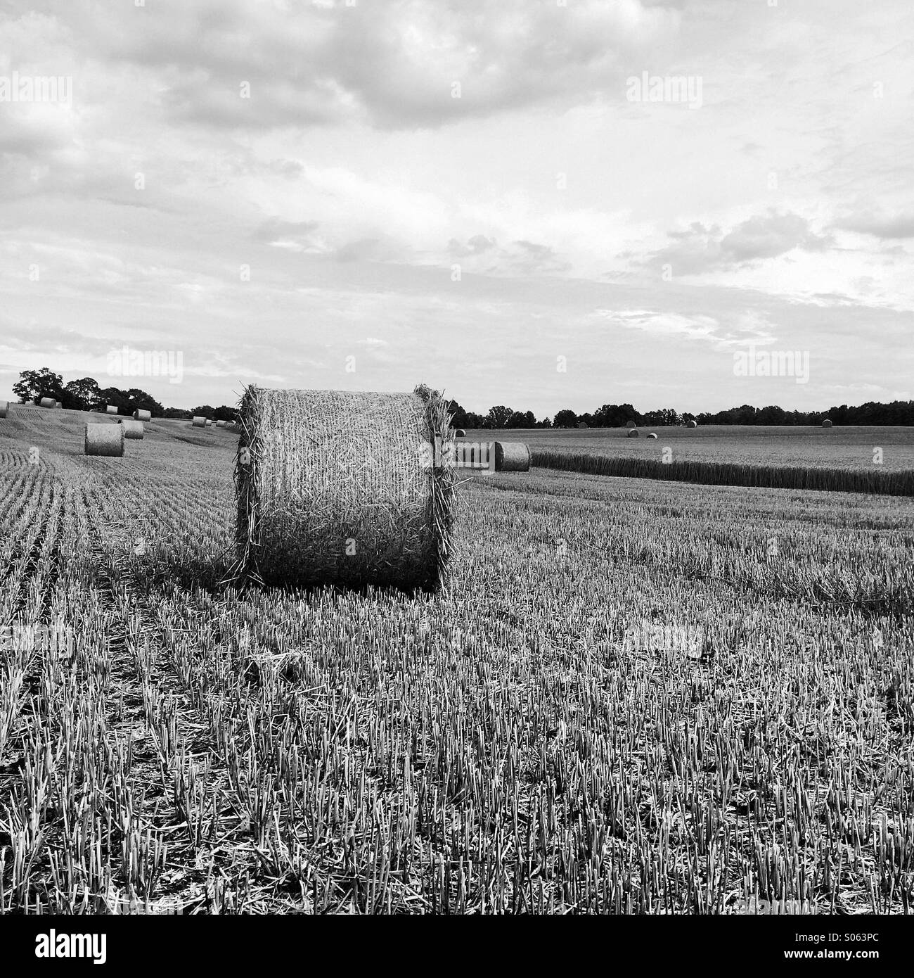 Dark farm Black and White Stock Photos & Images - Alamy