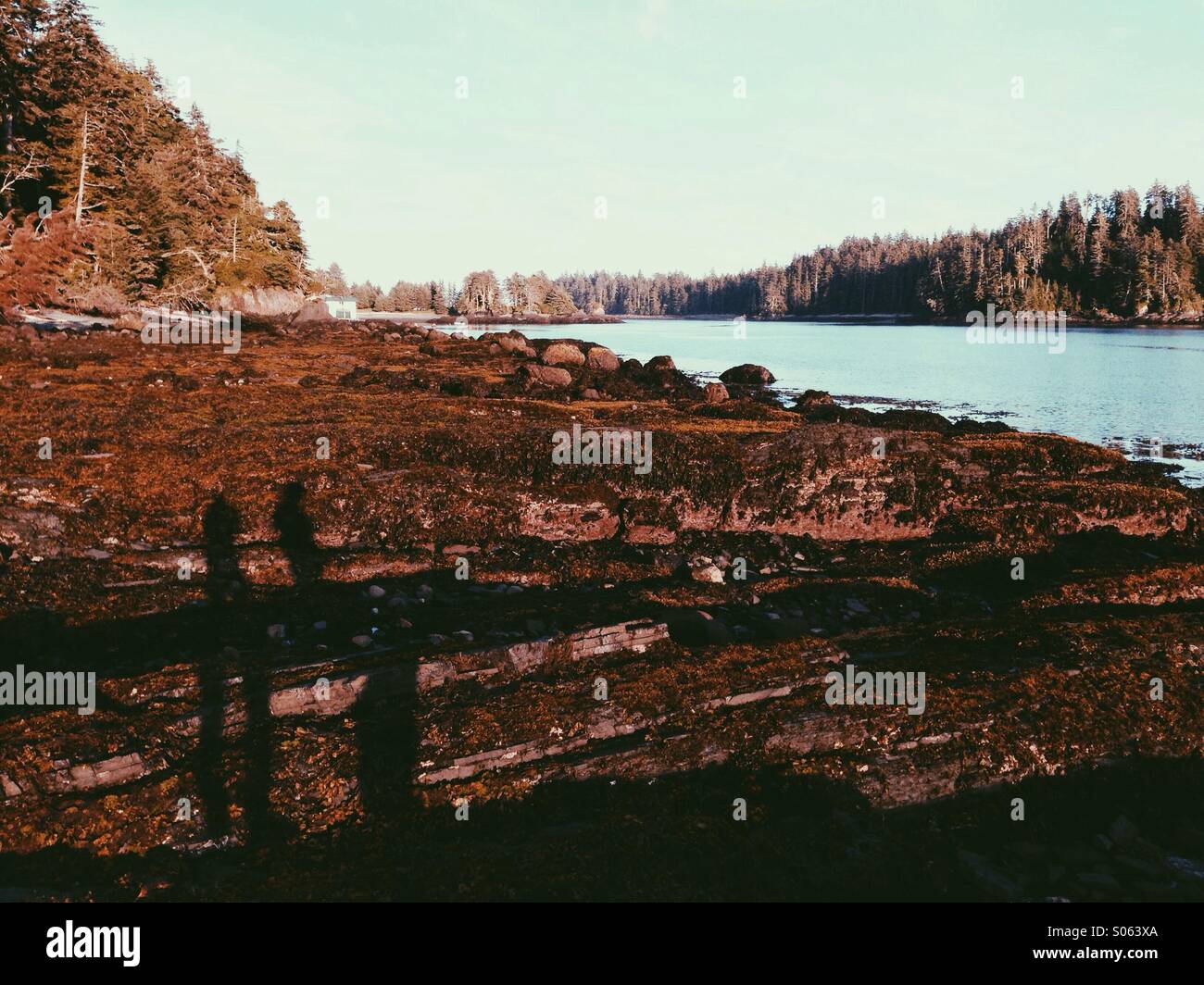 Langara hi-res stock photography and images - Alamy