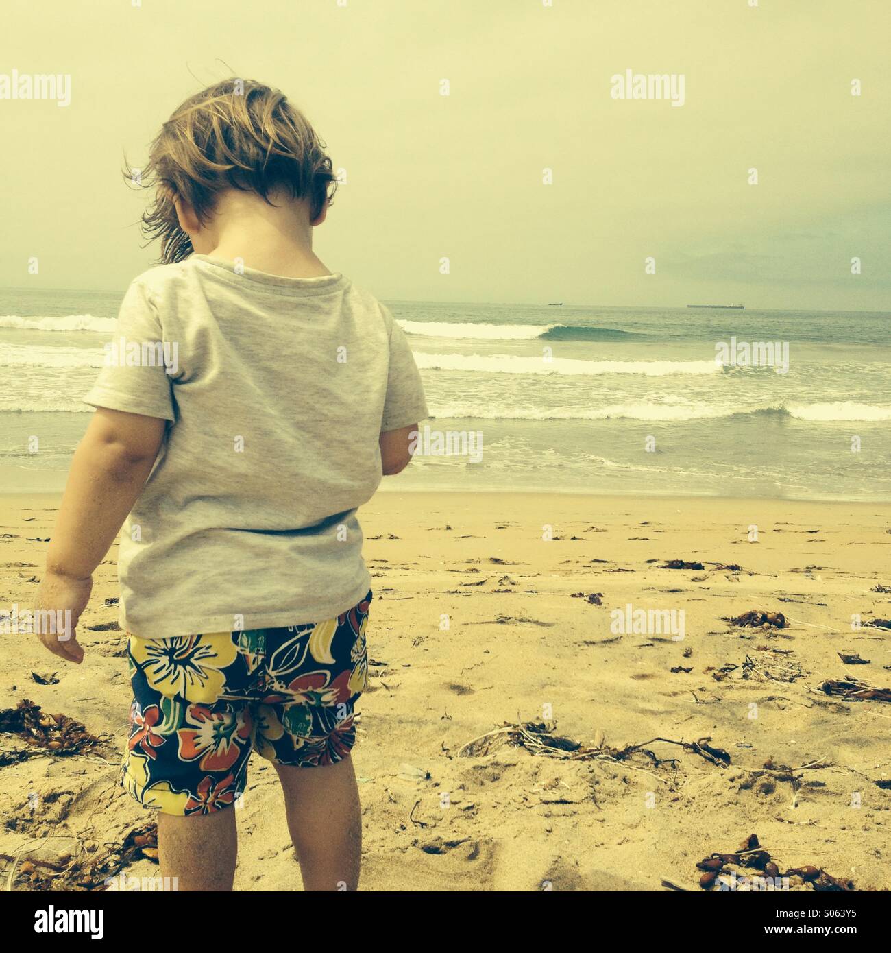 Little boy at the beach Stock Photo - Alamy