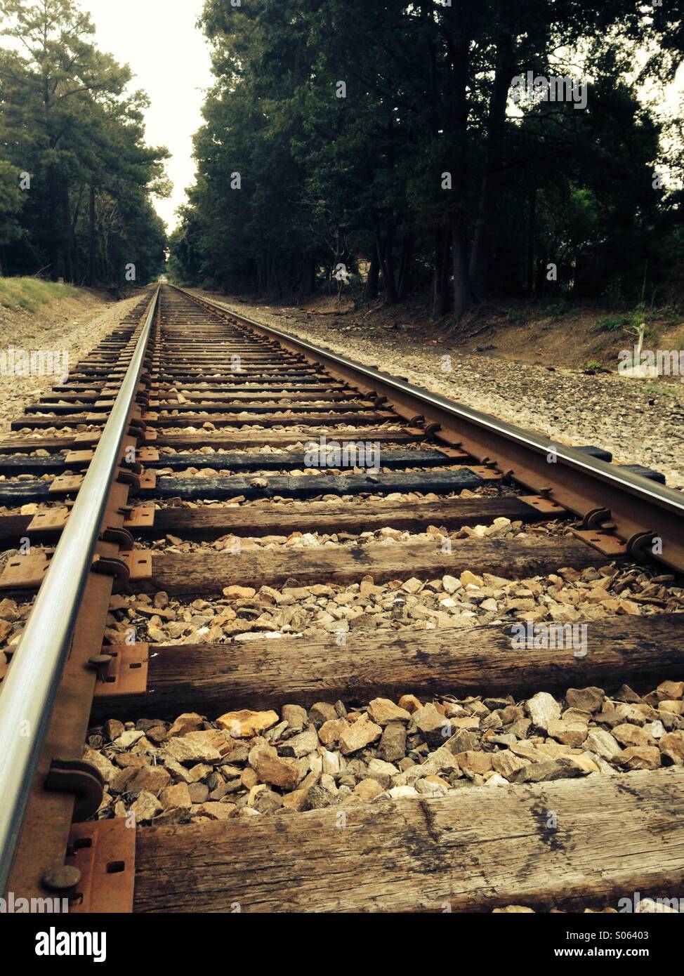 Trees and rails hi-res stock photography and images - Alamy