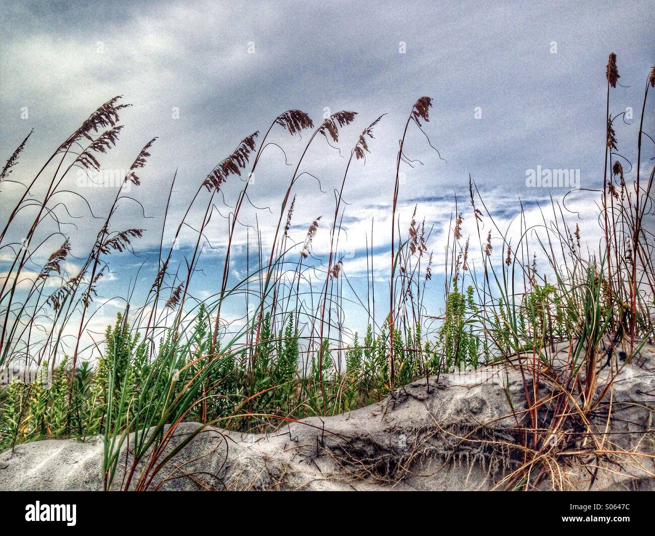Dune scene hi-res stock photography and images - Alamy