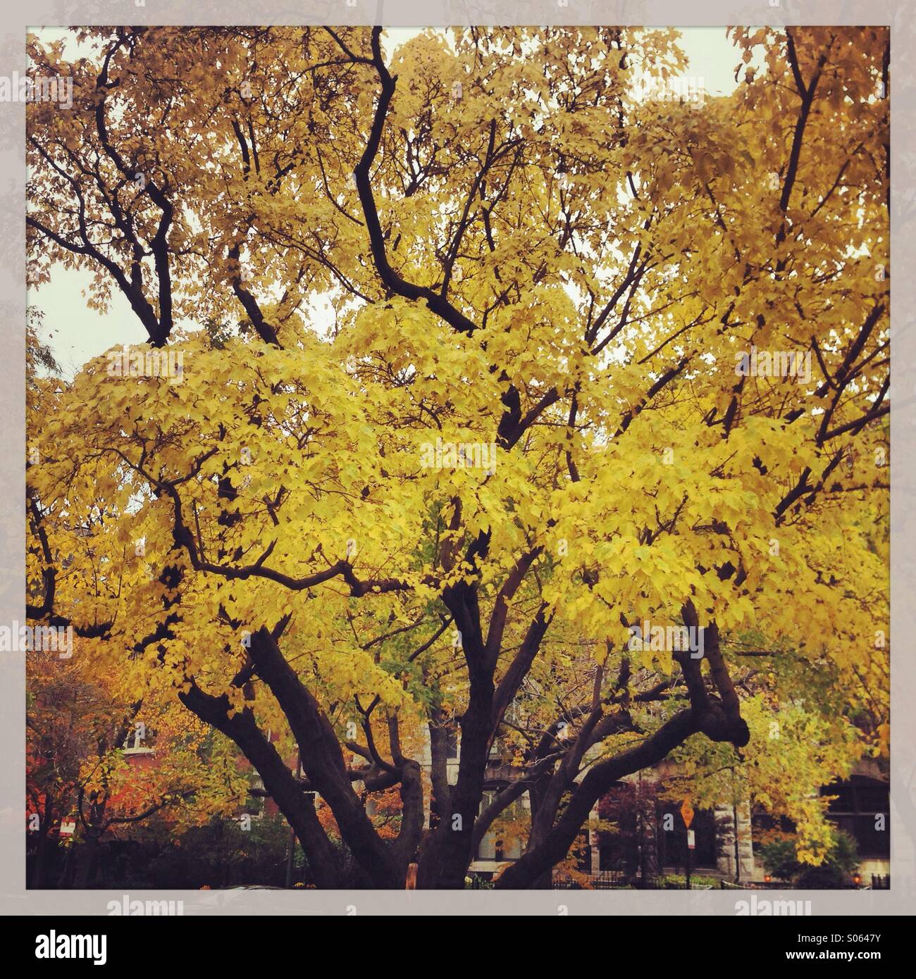 Chicago nature hi-res stock photography and images - Alamy