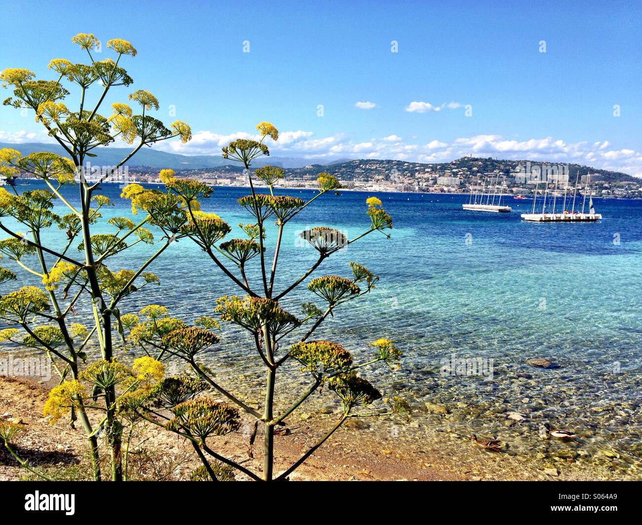 Cannes france hi-res stock photography and images - Alamy