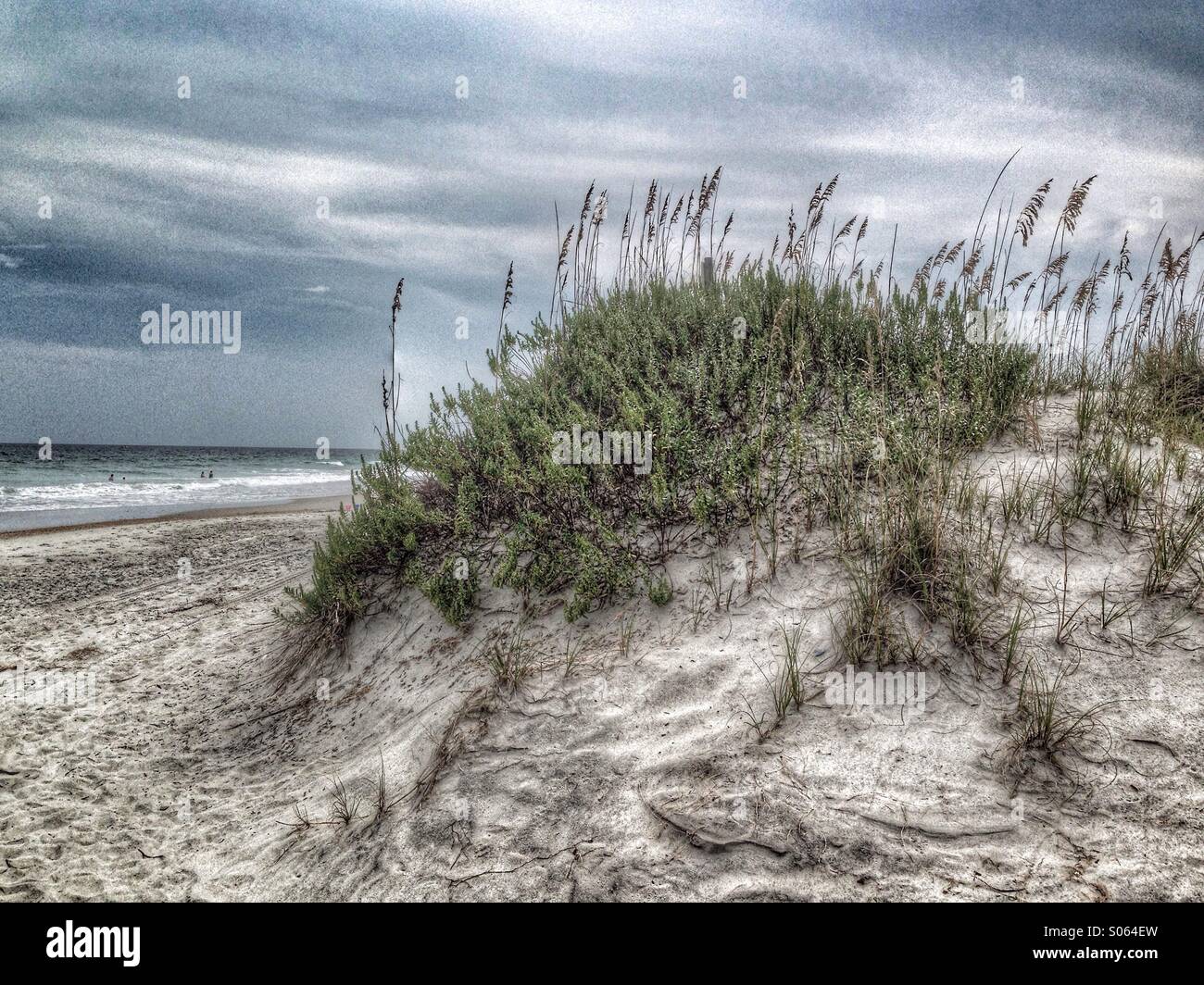 Sand dunes ocean hi-res stock photography and images - Alamy