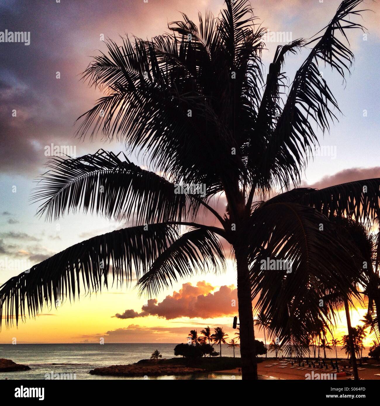 Life source hi-res stock photography and images - Alamy