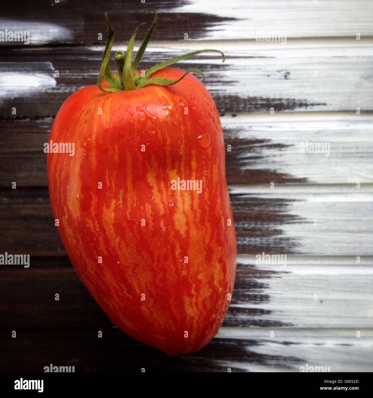 The Striped Roman heirloom tomato Stock Photo - Alamy