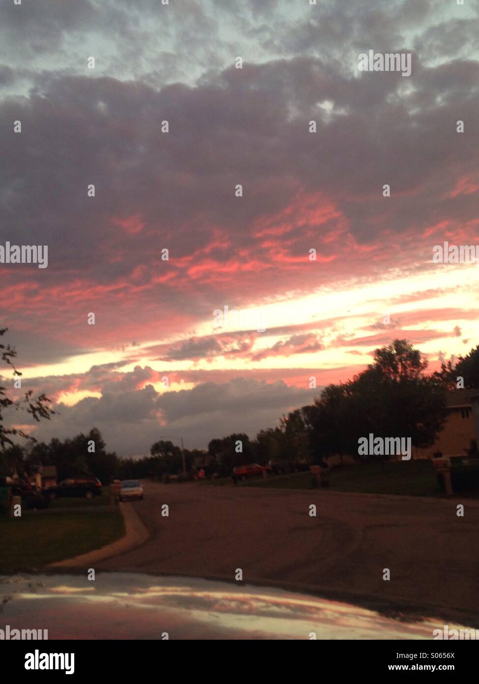 Prettiest pink hi-res stock photography and images - Alamy