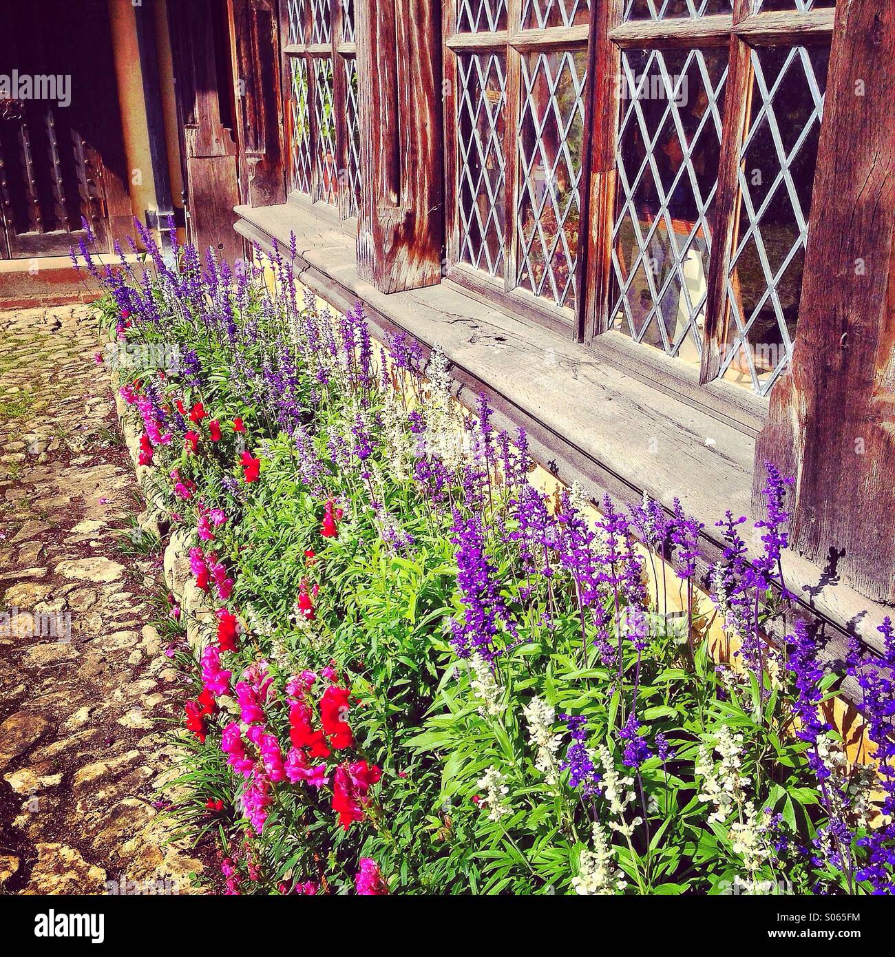 Flower border by a lead light window Stock Photo - Alamy