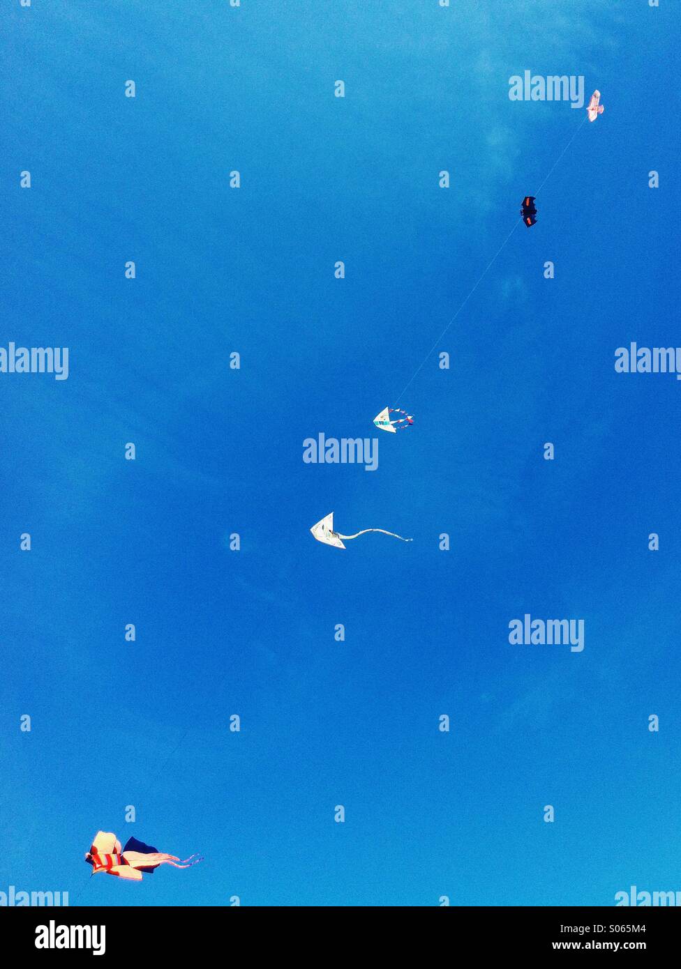 Five Kites High Resolution Stock Photography and Images - Alamy