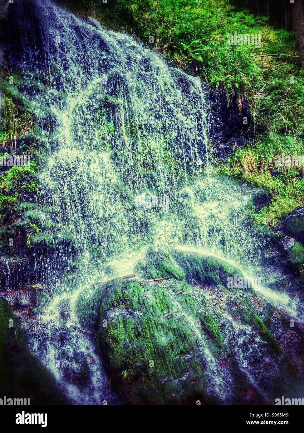 Waterfall rocks plants hi-res stock photography and images - Alamy