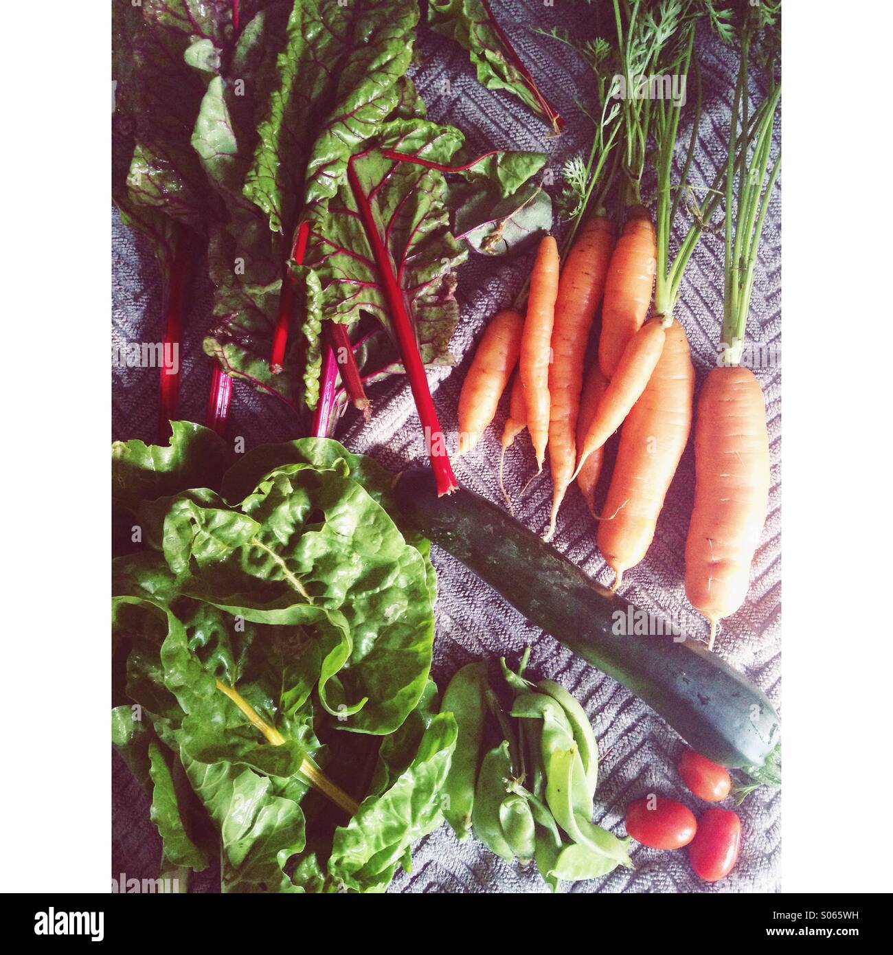 Garden goodies hi-res stock photography and images - Alamy