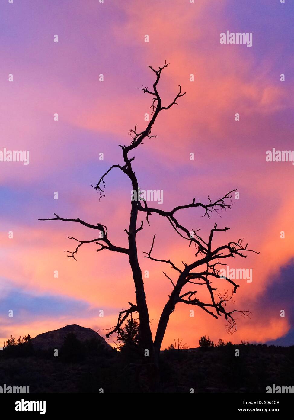 Making a stand at sunset Stock Photo - Alamy