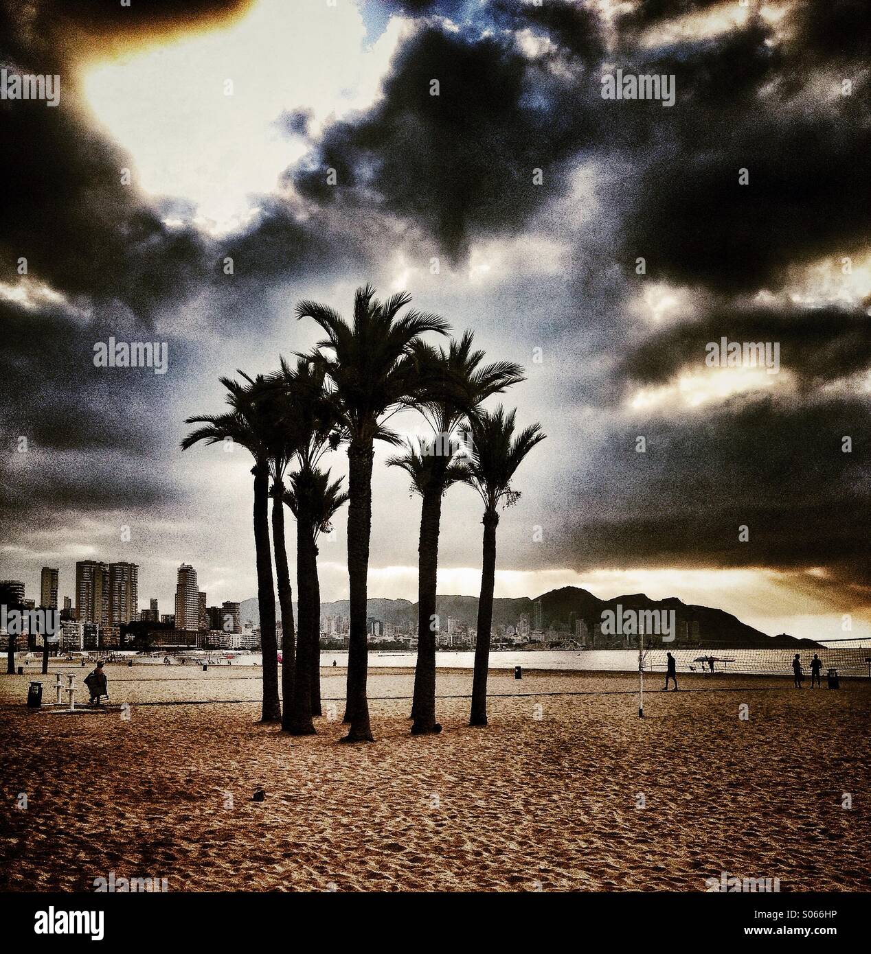 Small clump of trees hi-res stock photography and images - Alamy