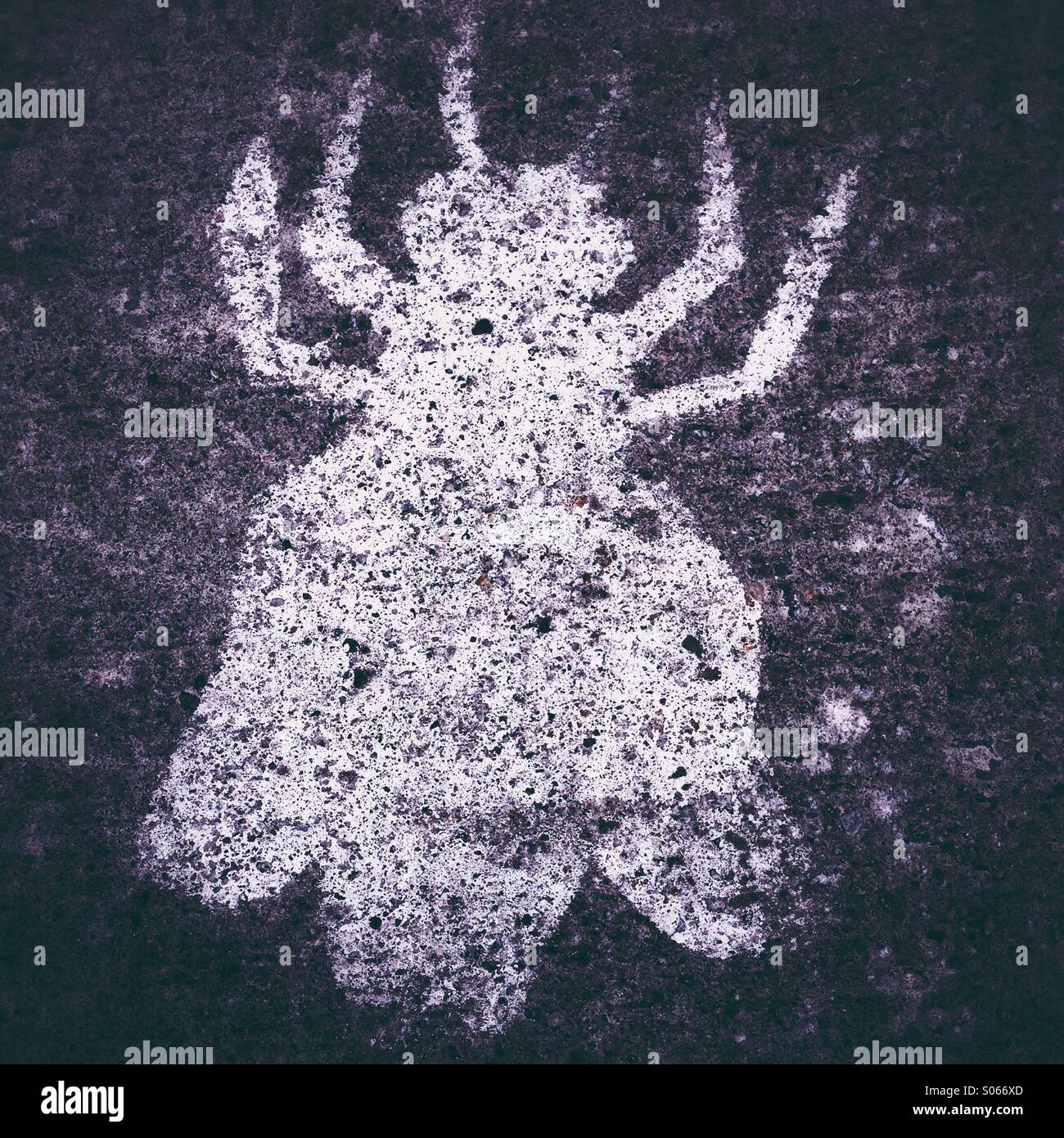 Scary insect insects hi-res stock photography and images - Alamy