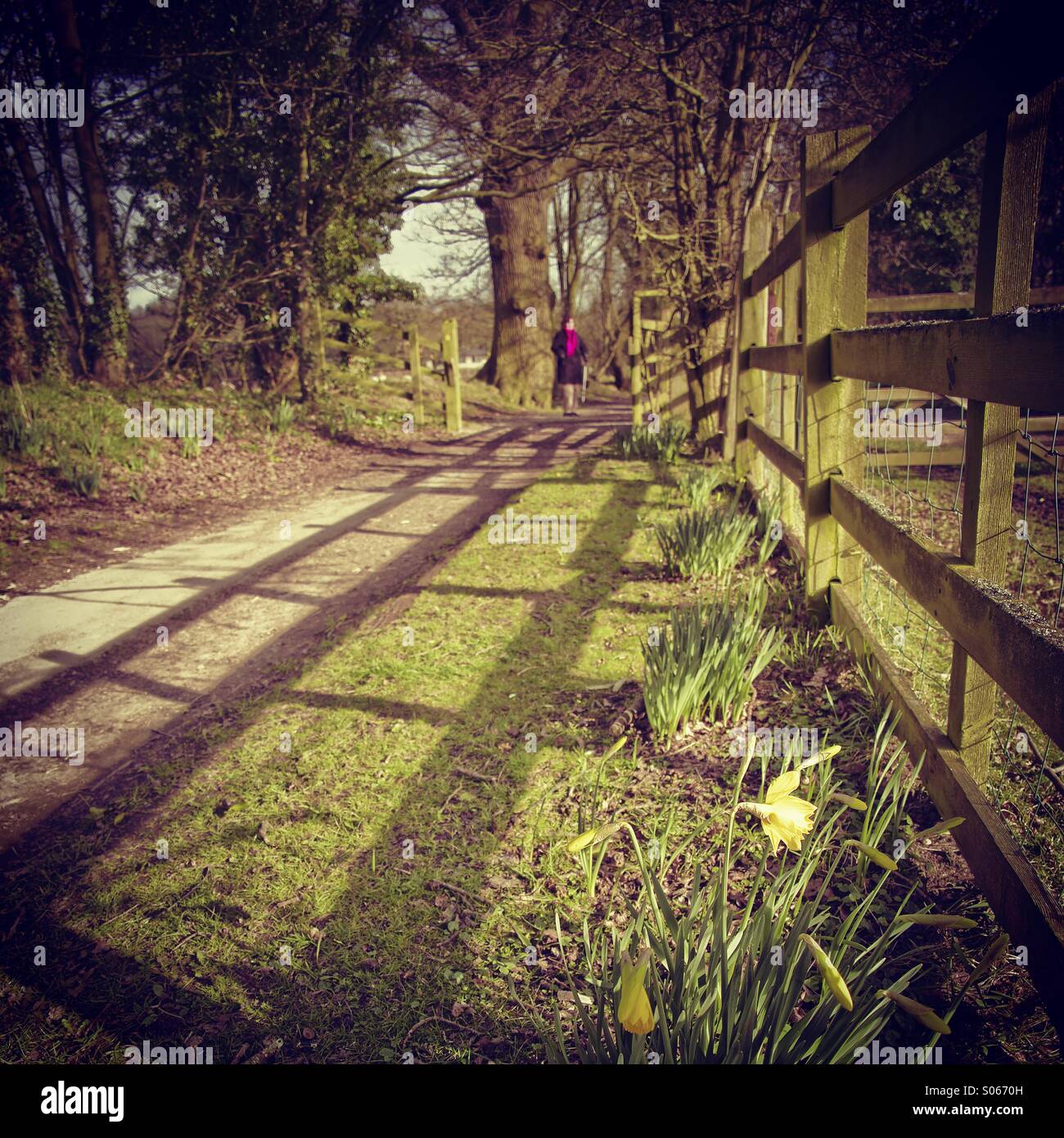 Dirt footpaths hi-res stock photography and images - Alamy