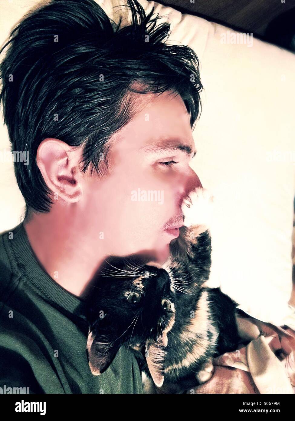 Man and kitten Stock Photo - Alamy