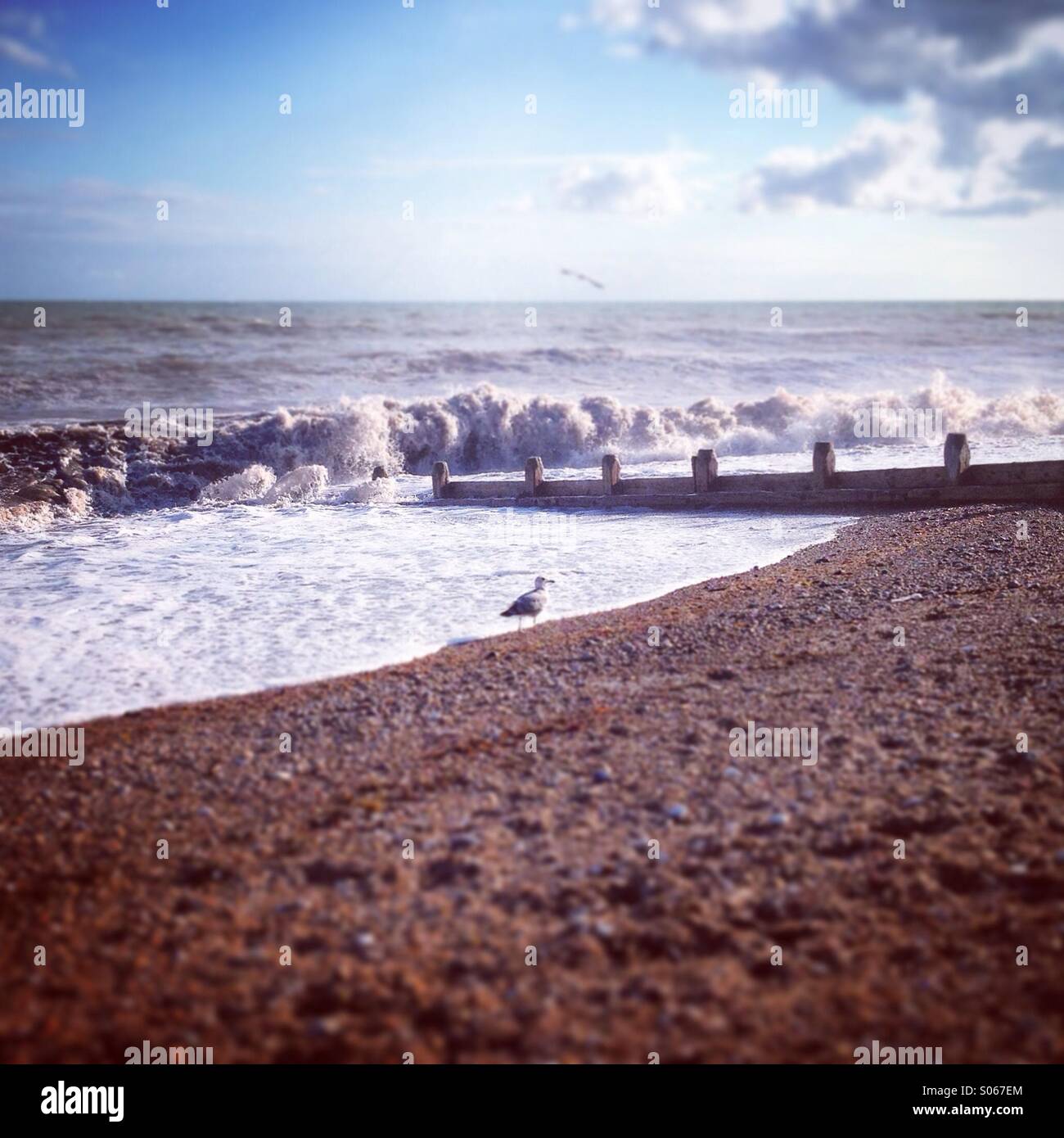 Worthing beach hi-res stock photography and images - Alamy
