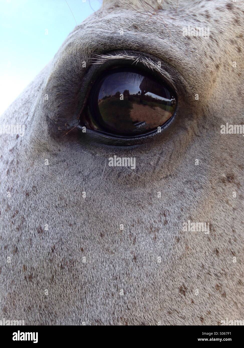 The window of the soul Stock Photo - Alamy