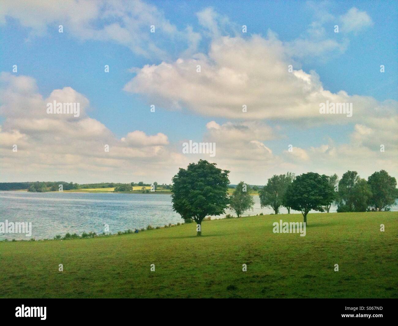 Trees on a grassy bank by a lake in summer Stock Photo - Alamy