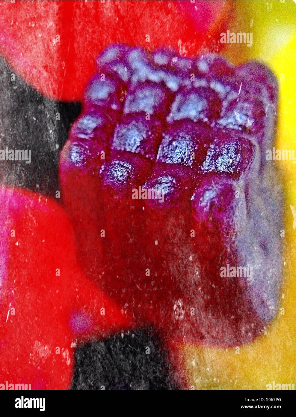 Midget gem sweet Stock Photo - Alamy