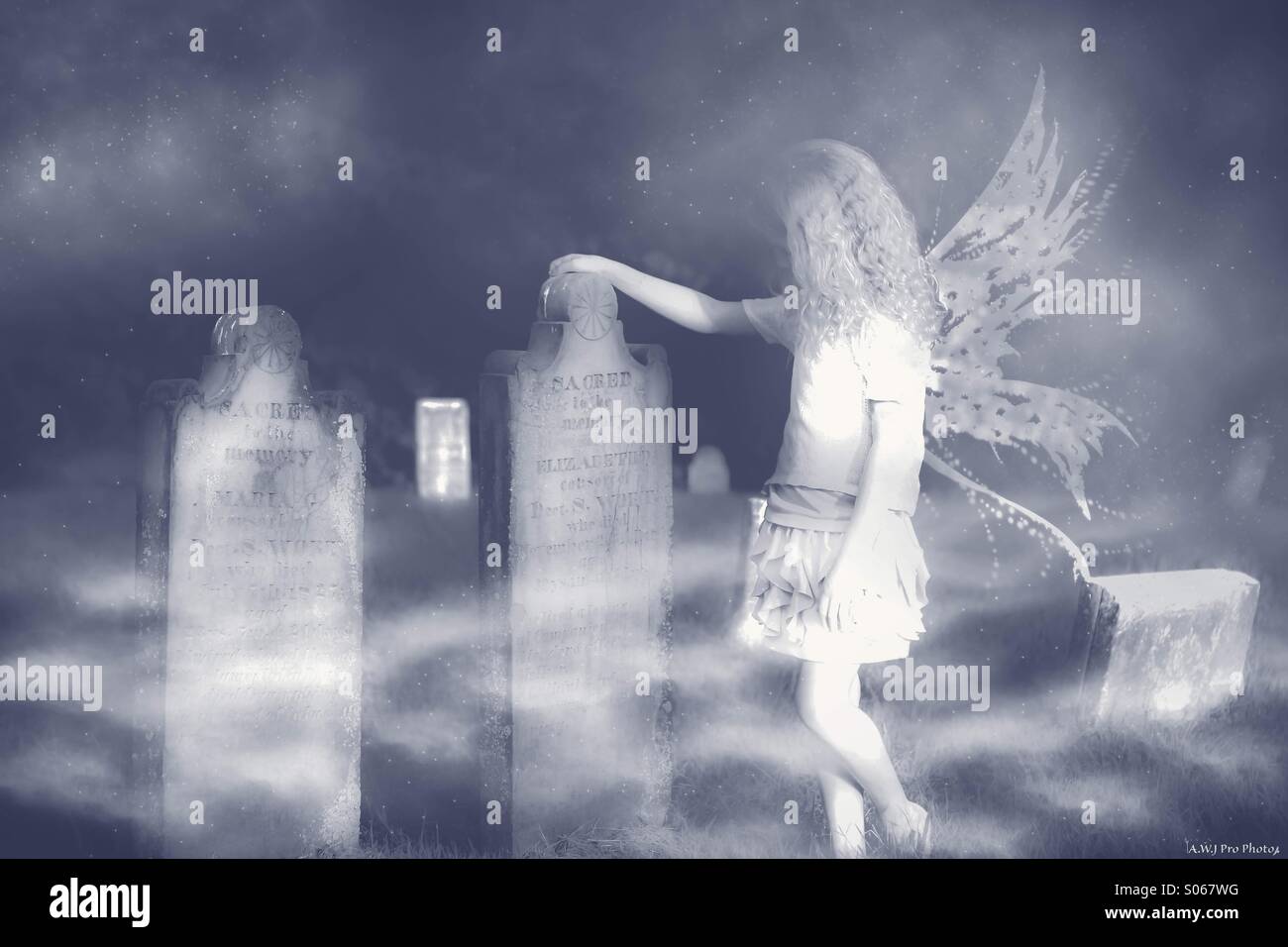 Let take hi-res stock photography and images - Alamy