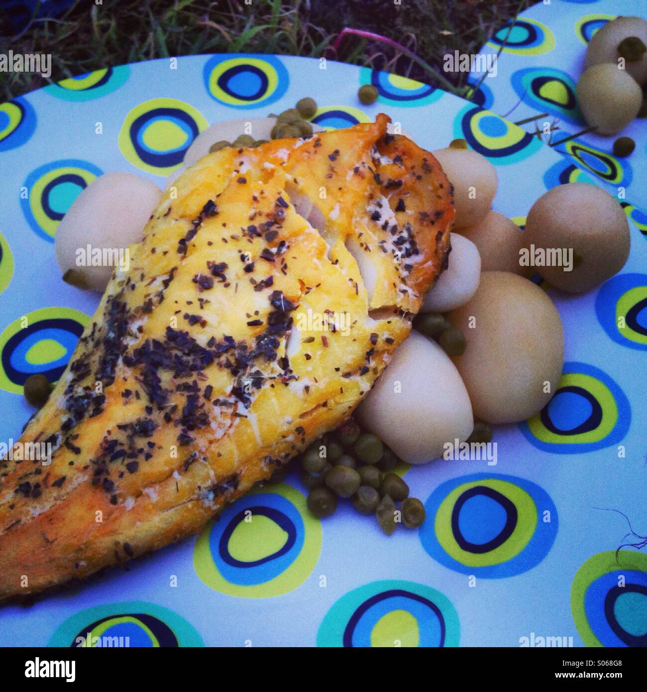 A makeshift camping dinner with fish and potato Stock Photo - Alamy