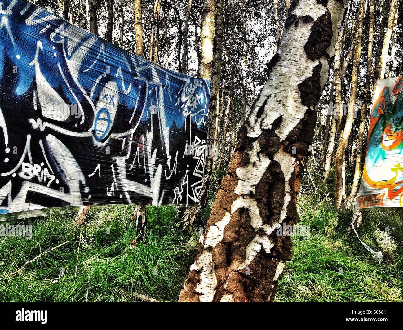 Sheets stretched between trees in a wood covered in graffiti Stock ...