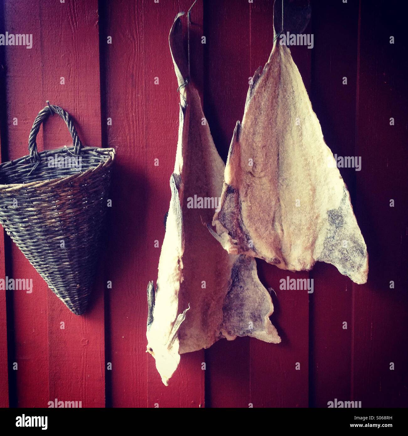 Fish drying air dry air drying cod hi-res stock photography and images ...