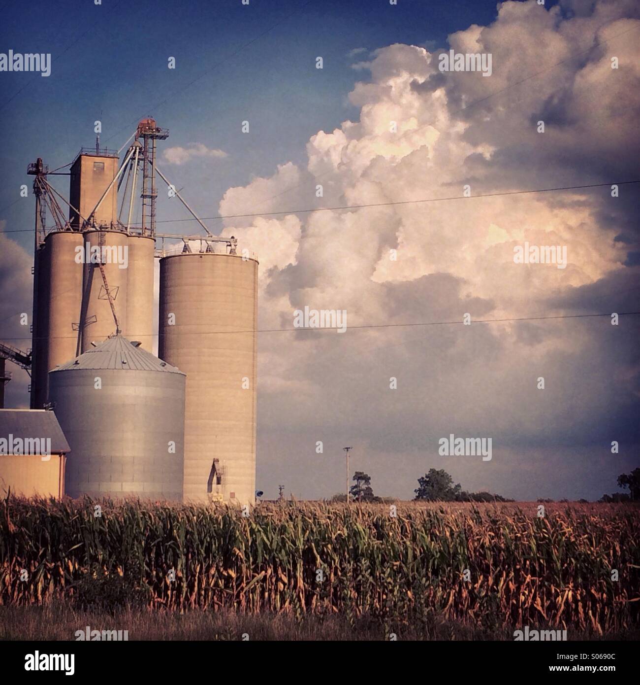 Midwest farm corn hi-res stock photography and images - Alamy