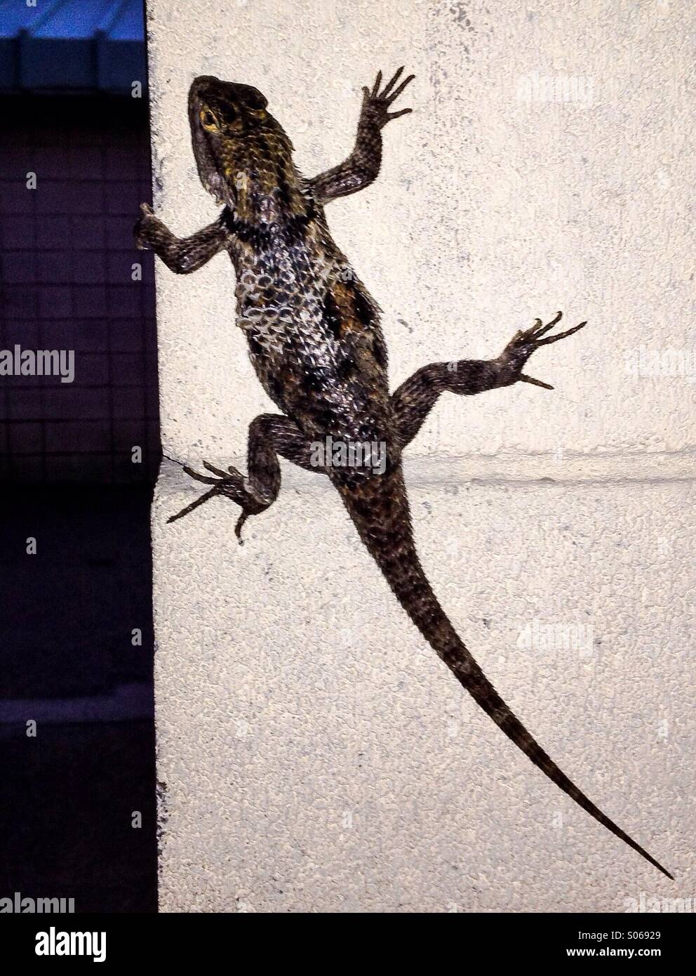 Big wall climbing hi-res stock photography and images - Alamy