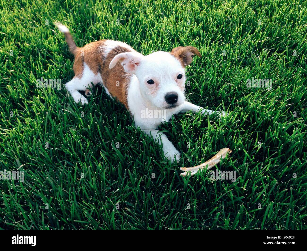 Stockimo hi-res stock photography and images - Alamy