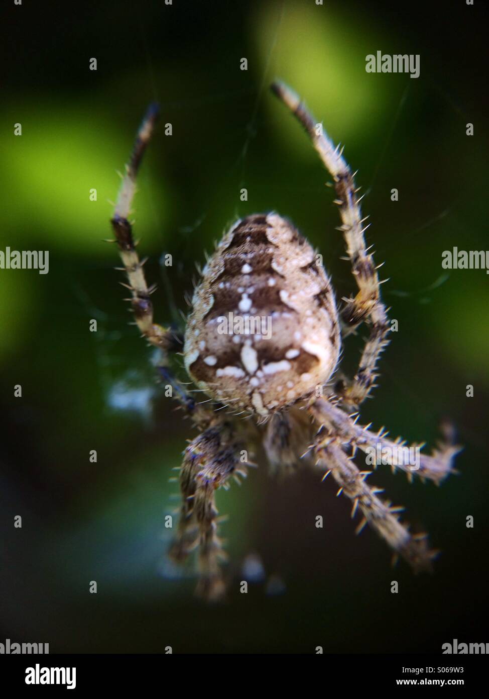 Wincy High Resolution Stock Photography and Images - Alamy