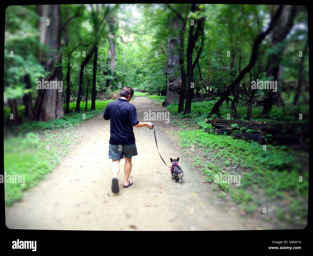 Man of the woods hi-res stock photography and images - Alamy