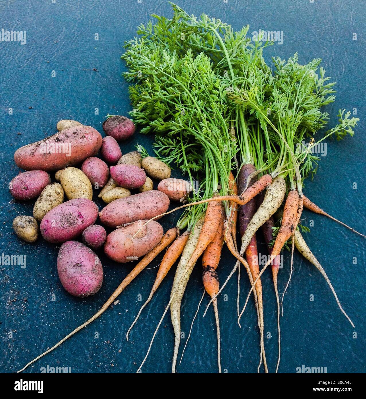 Root vegetables hi-res stock photography and images - Alamy