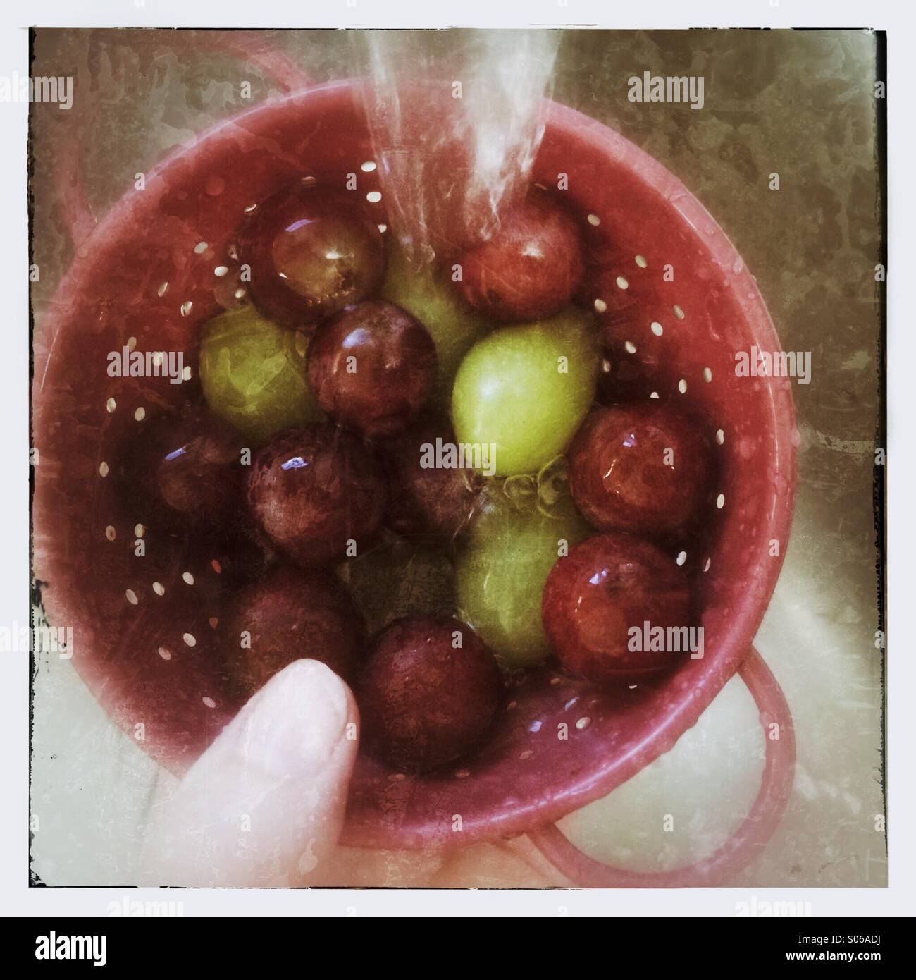 Washing red and green grapes in a small colander Stock Photo - Alamy