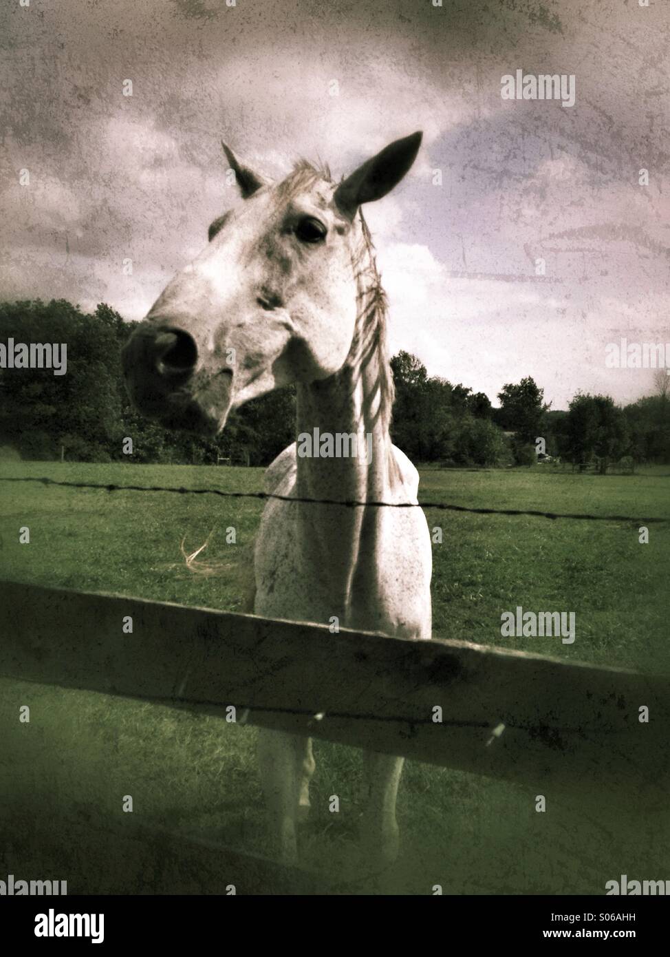 Strong strength hi-res stock photography and images - Alamy
