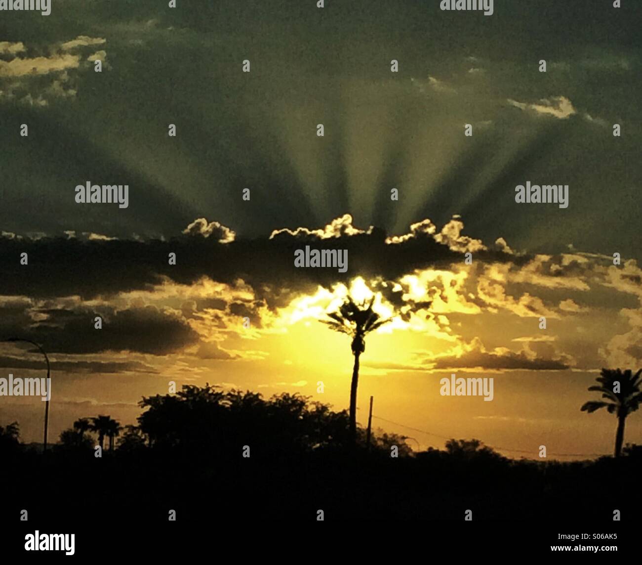 Glorious tree hi-res stock photography and images - Alamy
