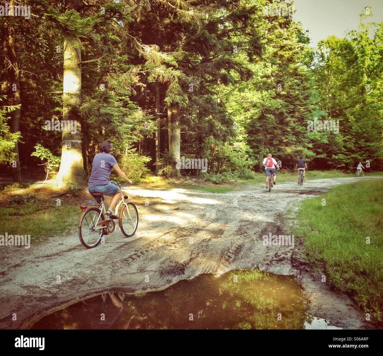 Forest way cycle hi-res stock photography and images - Alamy