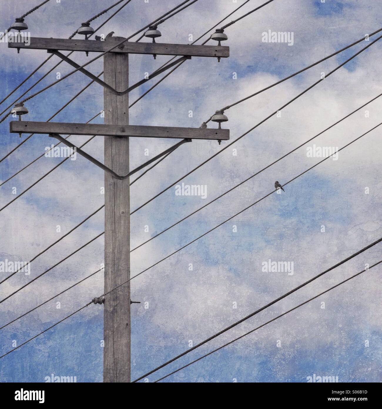 Power distribution line rural hi-res stock photography and images - Alamy