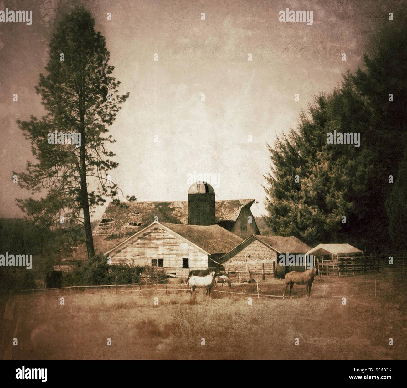 Homestead farm hi-res stock photography and images - Alamy