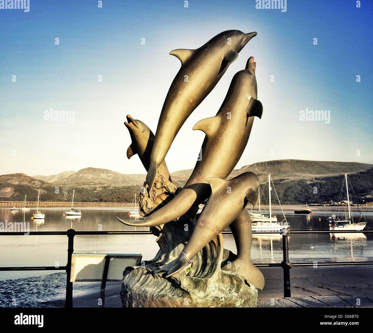 Cardigan bay dolphin hi-res stock photography and images - Alamy