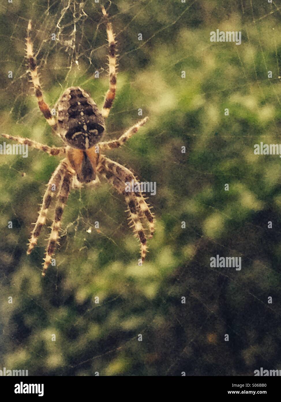 City spider web hi-res stock photography and images - Alamy