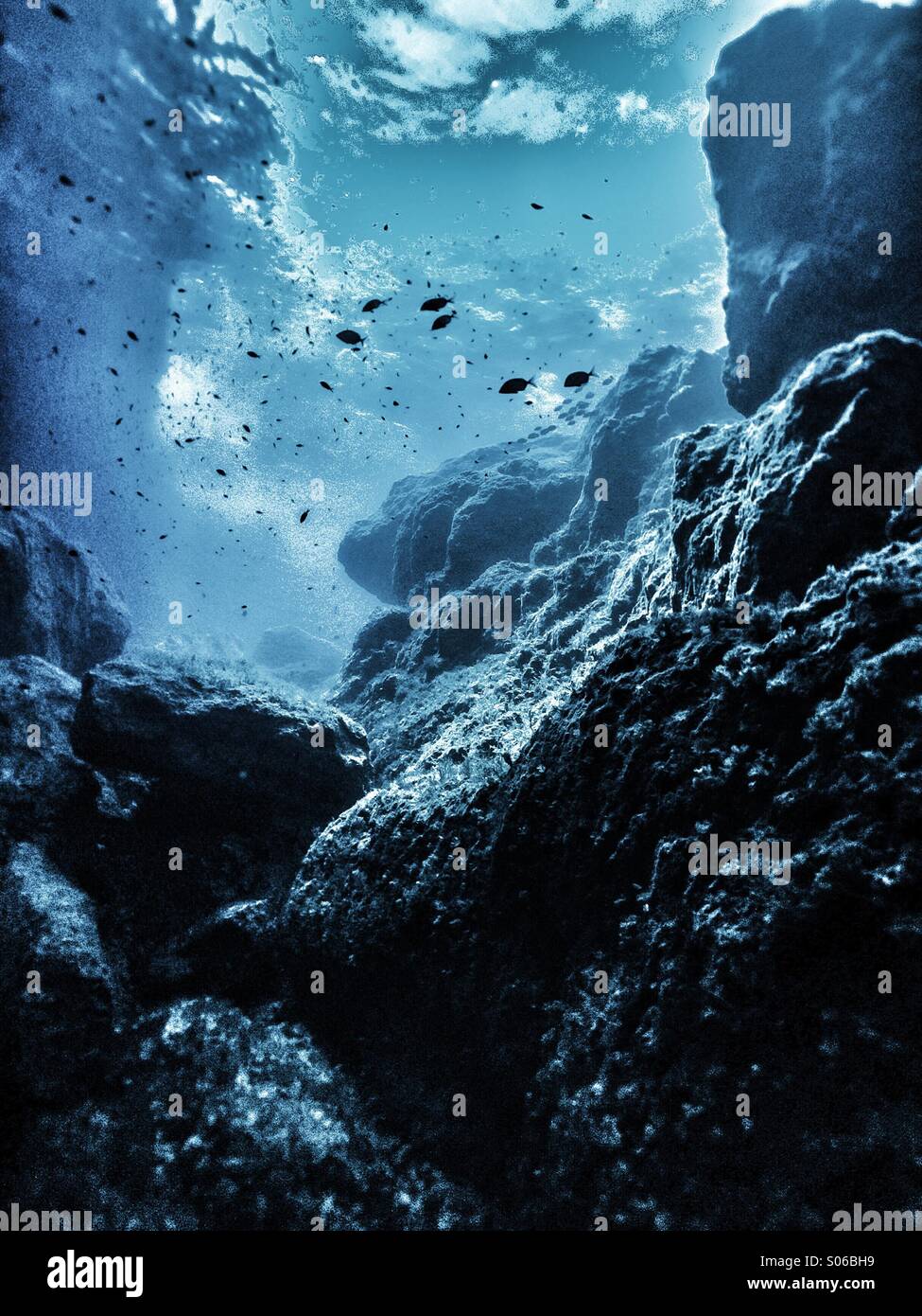 Limestone Reef High Resolution Stock Photography and Images - Alamy